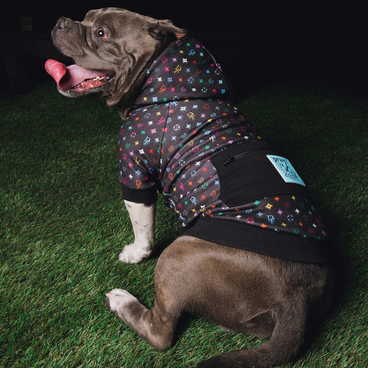 Bougie Dog Hoodie - Multi Drip | Dixxon Flannel Co. – DIXXON UK